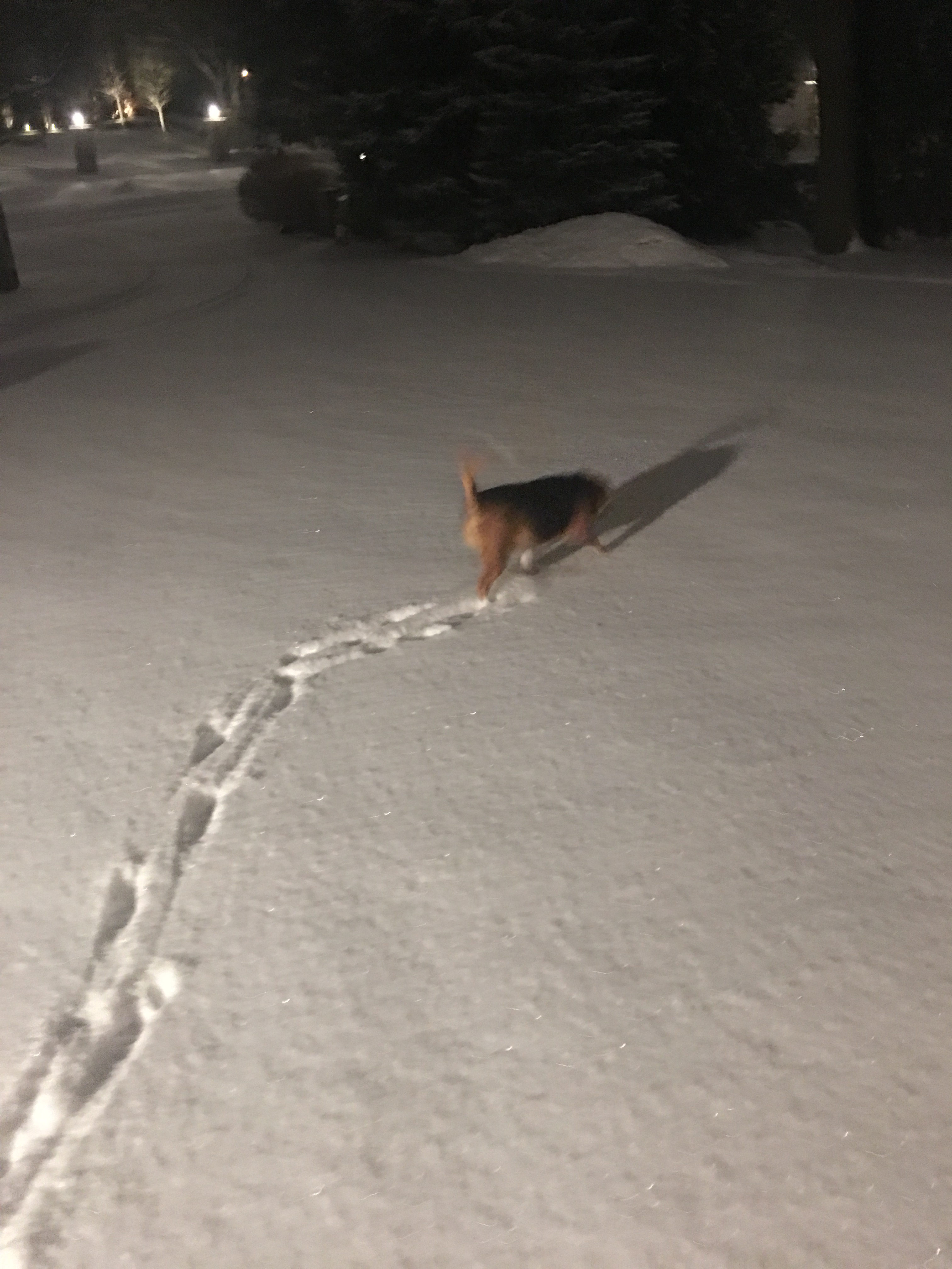 Connecting the dots…. – Jilly Brandon